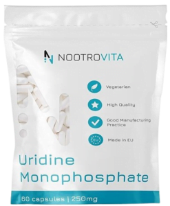 Uridin: Wirkung auf Gehirnleistung und neuronale Gesundheit